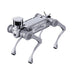 Unitree B2 - Industrial Quadruped Robotic Dog